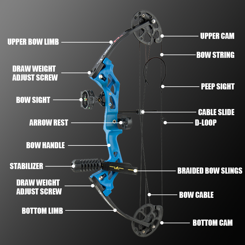 31-inch Compound Bow with Sight + Arrow Rest + 12 30-inch Carbon Arrows ...